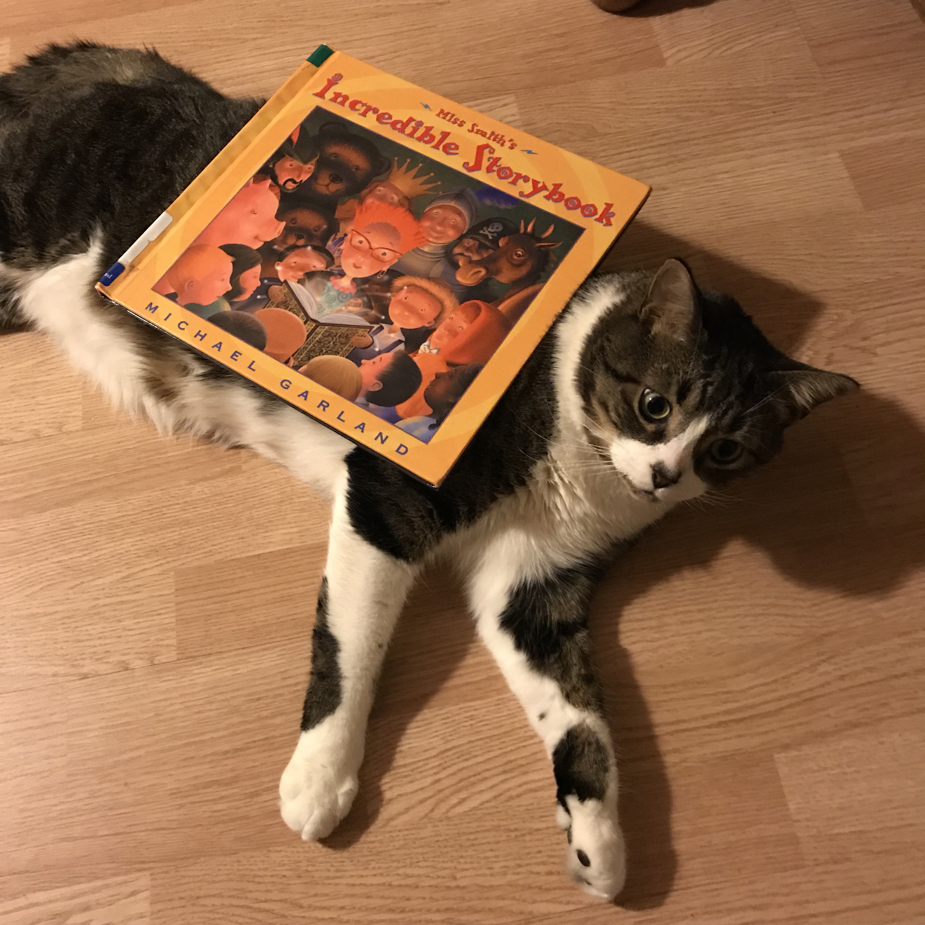 Miss Smith’s Incredible Storybook | Books On My Cat